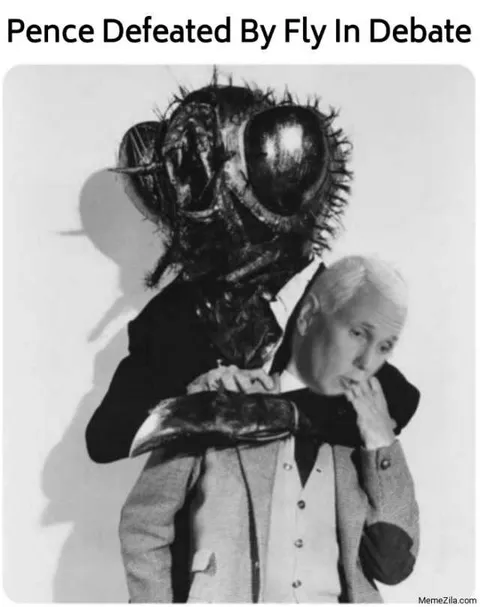 30 Hilarious VP Debate Fly Memes Because Pence Was Outshined By A Fly