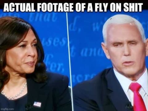 30 Hilarious VP Debate Fly Memes Because Pence Was Outshined By A Fly