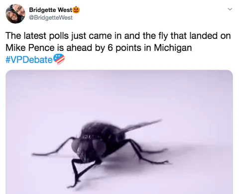 30 Hilarious VP Debate Fly Memes Because Pence Was Outshined By A Fly