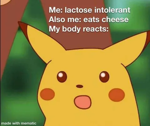 24 Funny Cheese Memes That Couldn't Be Any Cheddar