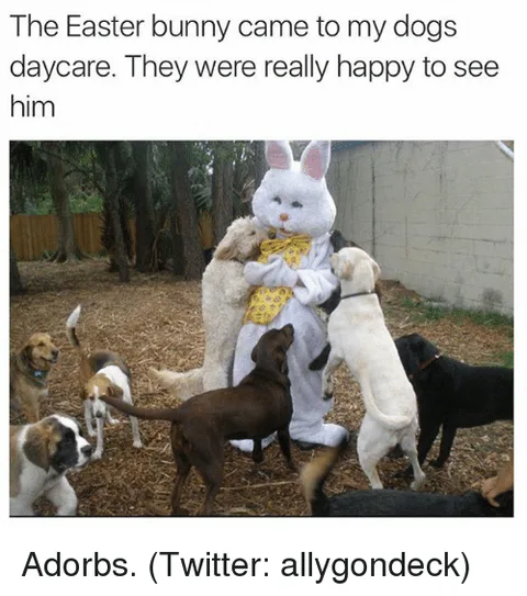 20 Funny Dog Easter Memes To Enjoy While You Binge Eat Easter Eggs