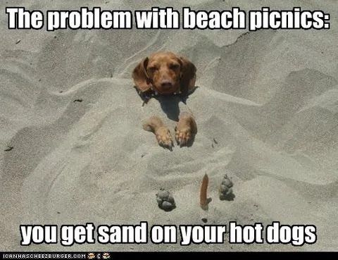 24 Funny Beach Memes Because It's That Time