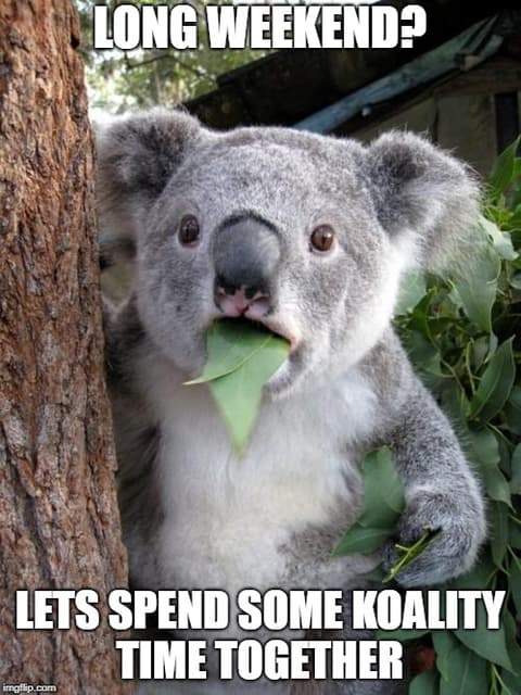 20 Funny Long Weekend Memes