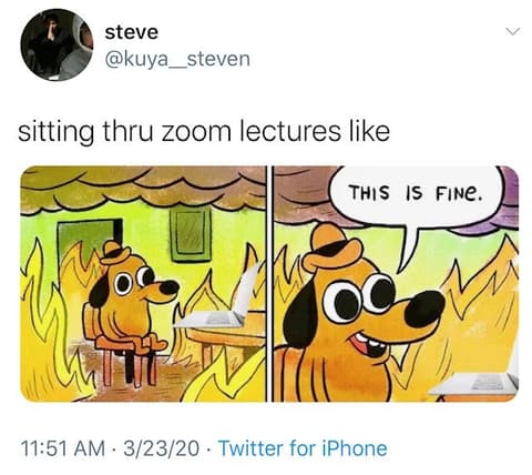 20 Funny University Memes For Students