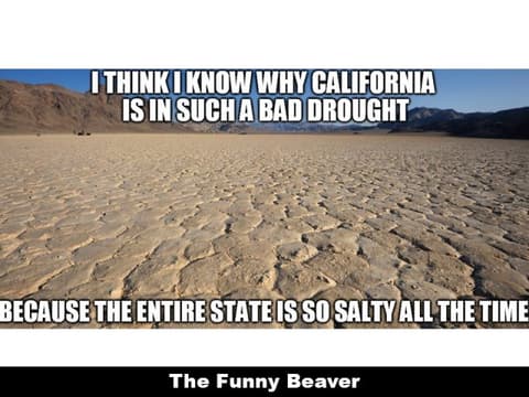 23 Funny Drought Memes That'll Water Your Crops