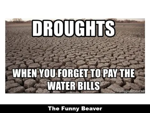 23 Funny Drought Memes That'll Water Your Crops