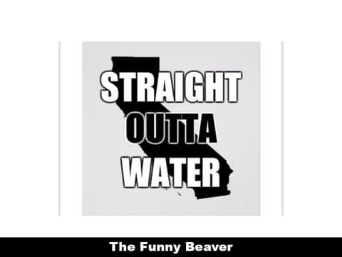 23 Funny Drought Memes That'll Water Your Crops