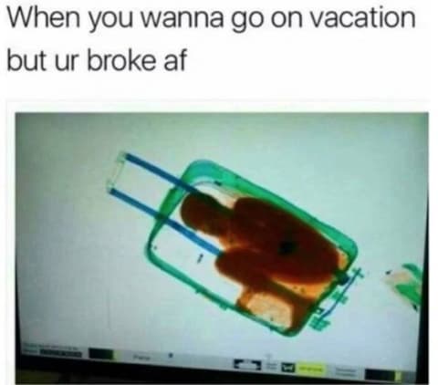 30 Great Summer Memes To Get Your Summer Going
