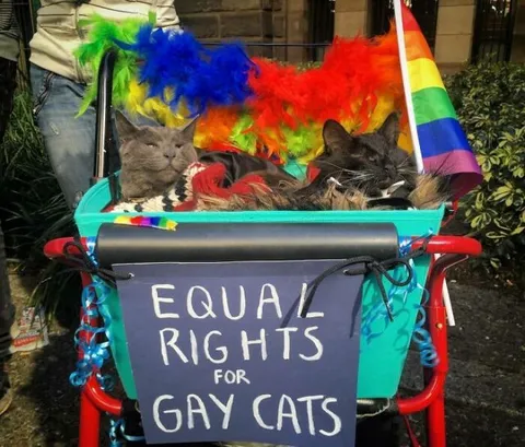 50 Of The Funniest Pride Signs That Will Make You Laugh