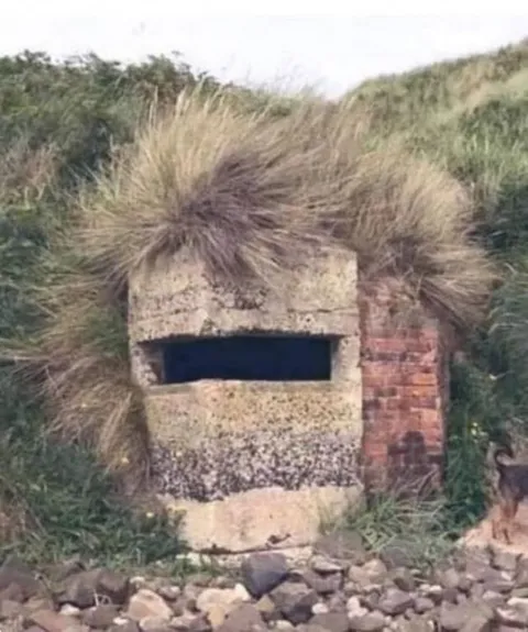 30 Hilarious Pics Of British People Going About Their Day