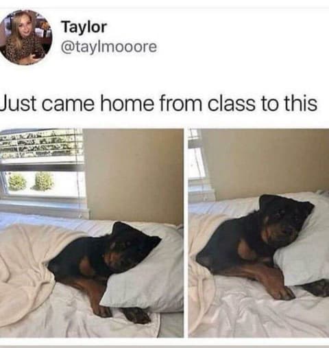 30 Totally Random And Hilarious Pictures That Make No Sense