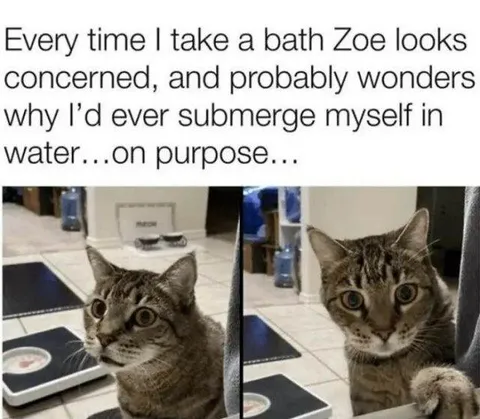 30 Hilariously Awkward Memes That Will Make You Laugh