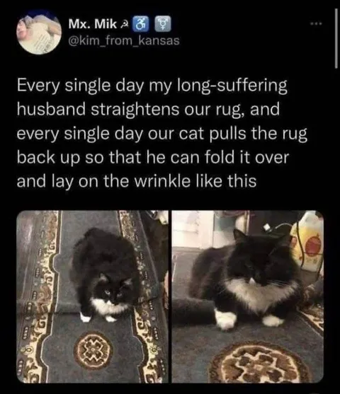 30 Hilariously Awkward Memes That Will Make You Laugh