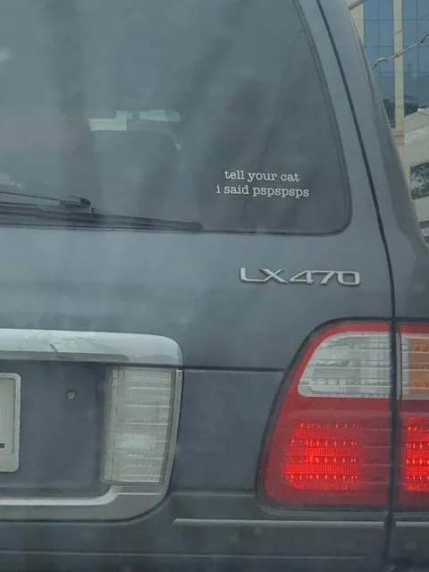 30 Crazy Products That WIll Make You Spend All Your Money