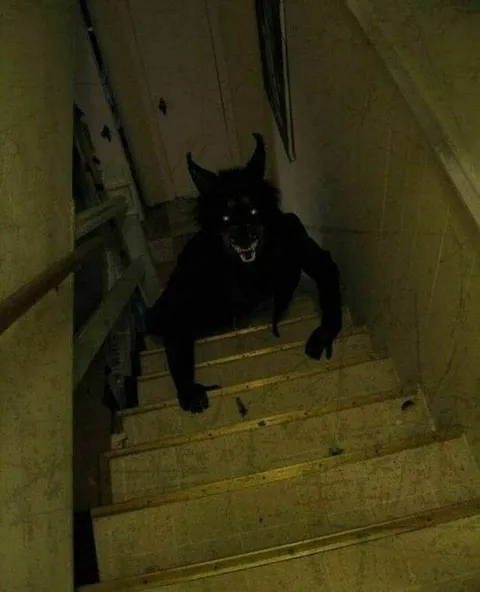 30 Cursed Images To Provide You Your Dose Of Disturbing