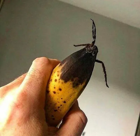 30 Cursed Images To Provide You Your Dose Of Disturbing