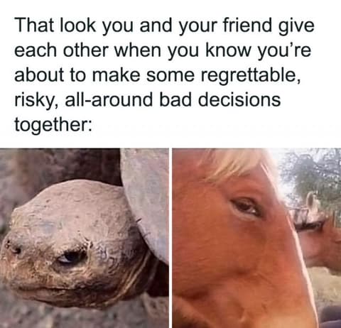 30 Relatable Memes That Describe A Friendship