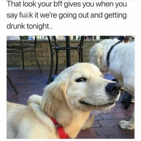 30 Relatable Memes That Describe A Friendship