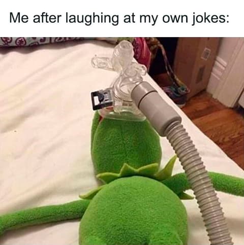 30 Funny Kermit The Frog Memes That Might Make Your Day