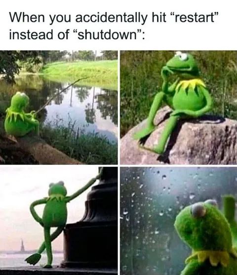 30 Funny Kermit The Frog Memes That Might Make Your Day