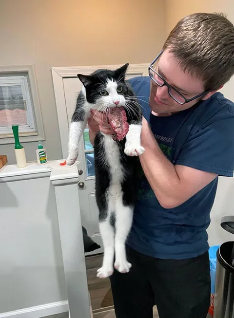 30 Funny Moments When Pets Failed At Food Theft