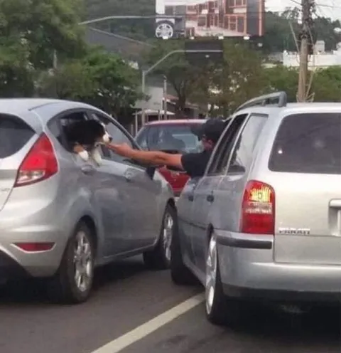 30 Memes That Dog Owners May Find Humorously Relatable