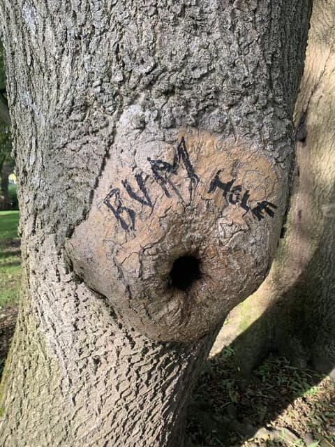 30 Hilarious Examples Of Graffiti Gone Wrong