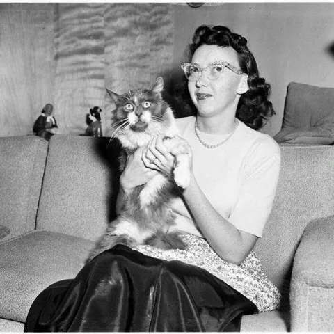 30 Classic Cat Photos Demonstrating Their Superiority