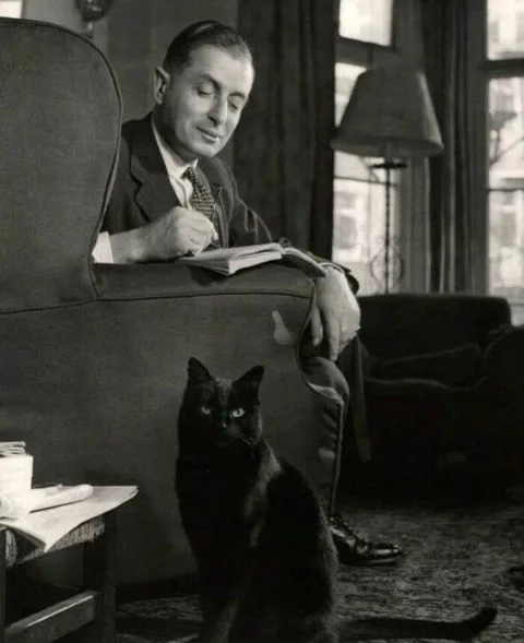 30 Classic Cat Photos Demonstrating Their Superiority