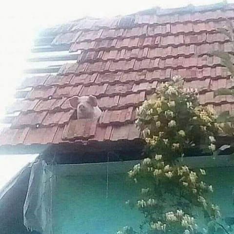 30 Bewildering Images That Have A Strange Energy To Them