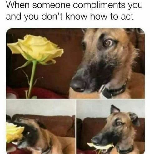 30 Memes Perfect For Those Who Can Barely Keep It Together