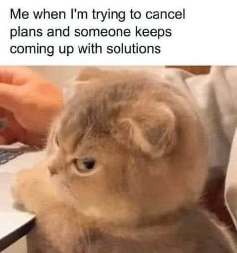 30 Funny Memes For People Who Prefer Their Own Company