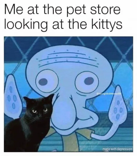 30 Hilarious And Relatable SpongeBob Memes