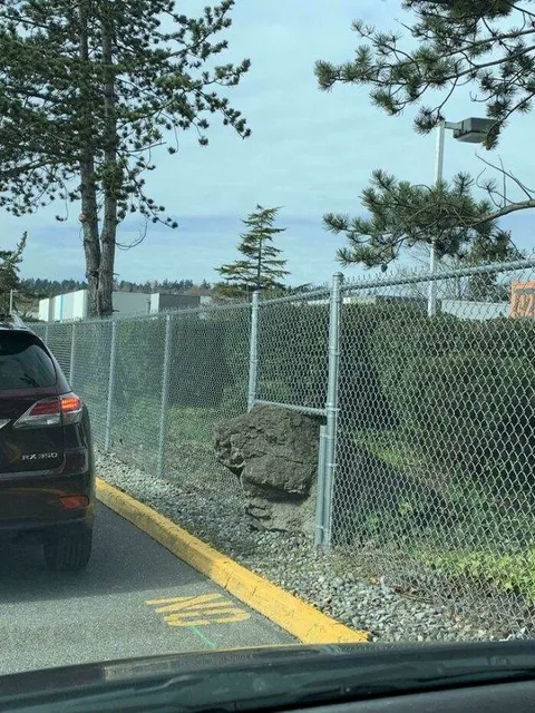 30 Epic Job Fails: When Work Goes Wrong