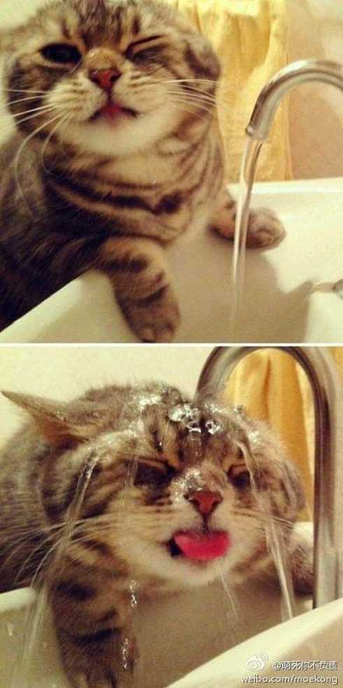 22 Of The Funniest Pictures Ever