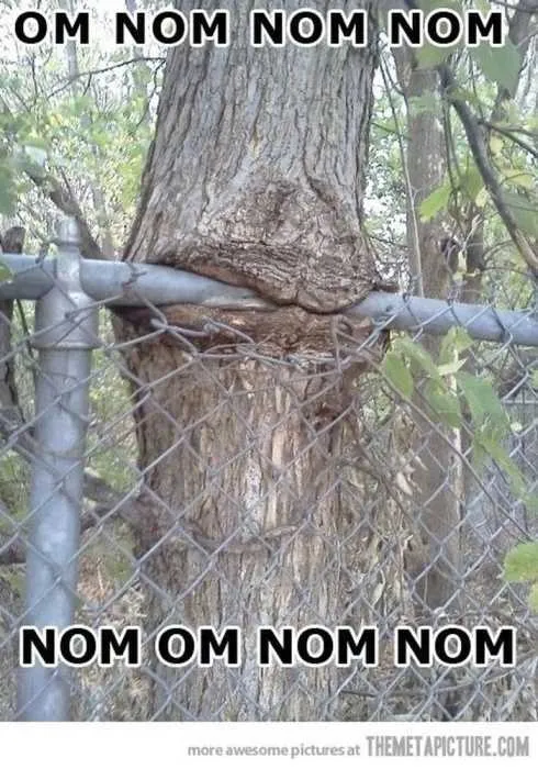 31 VERY Funny Pictures