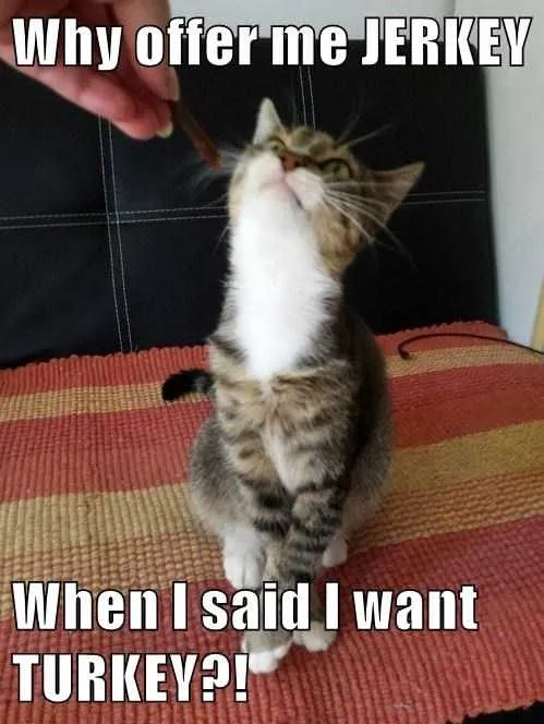 32 Funny Thanksgiving Memes To Enjoy While You Anxiously Cook Dinner