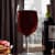 Features Of Our Extra Large Giant Wine Glass