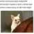 35 Funny ROFL Memes And Pictures