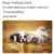 35 Funny ROFL Memes And Pictures