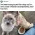 30 Hilarious Cat Posts And Memes