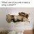 30 Hilarious Turtle Memes You Never Knew You Needed