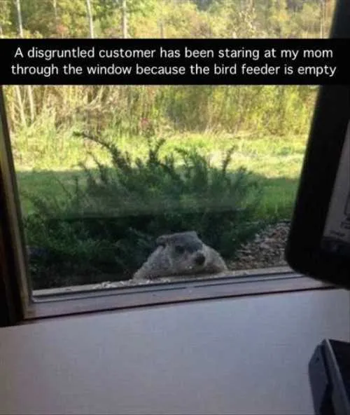 37 Funny Pictures That Will Make You Laugh.