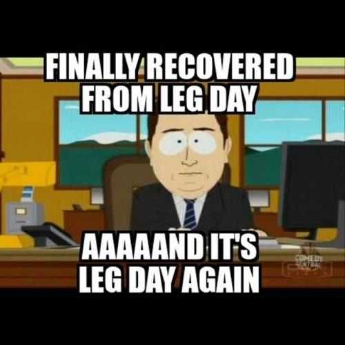 36 Hilarious Leg Day Memes For When You're Sore And Feel Like Dying