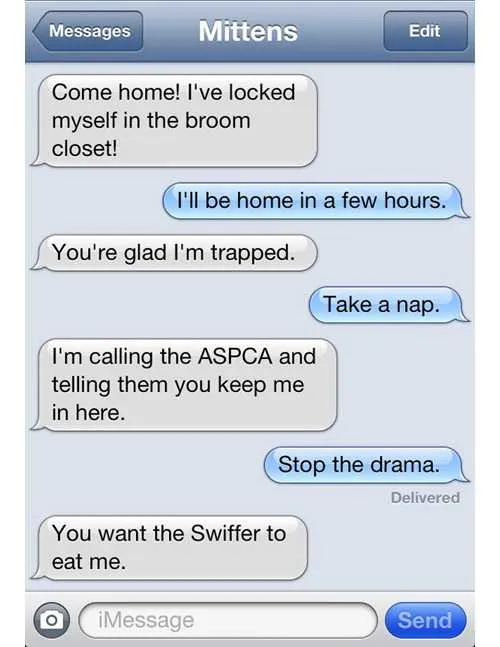 37 Funny Text Messages