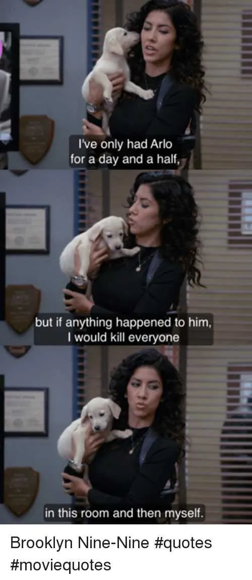 34 Funny Quotes From TV Shows You Love To Watch