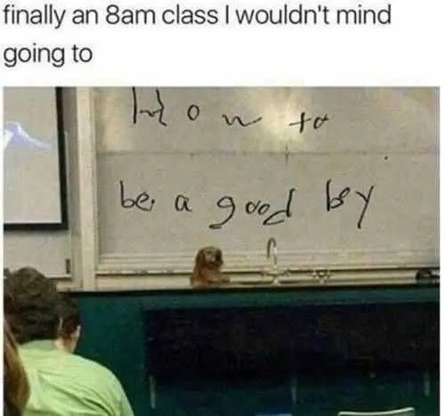 Just 30 Funny And Fresh Memes | The Funny Beaver