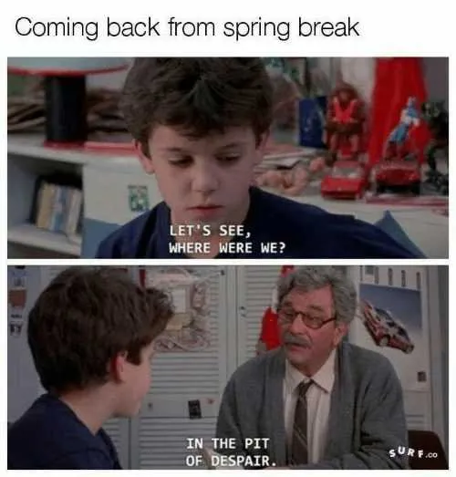 32 Funny Spring Break Memes | The Funny Beaver