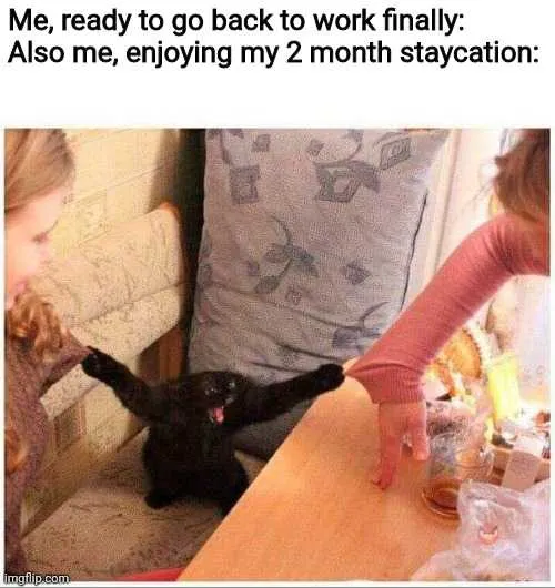 20 Staycation Memes Because Most Of Us Are At La Home Resort. | The ...