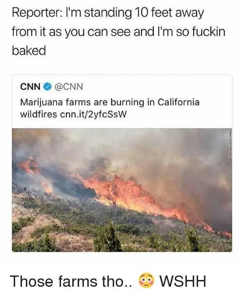 30 Funny Wildfire Memes That Will Burn A Hole In Your Retina